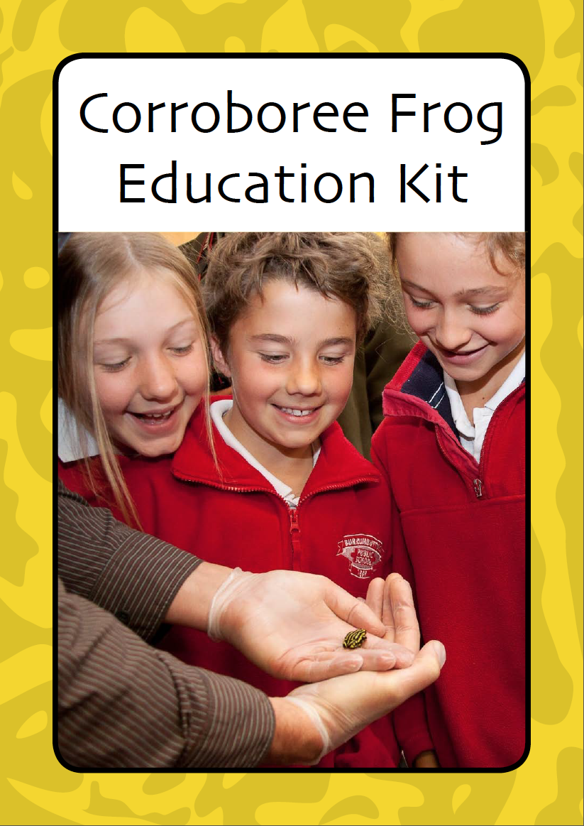 Corroboree Frog Education Kit – PeeKdesigns