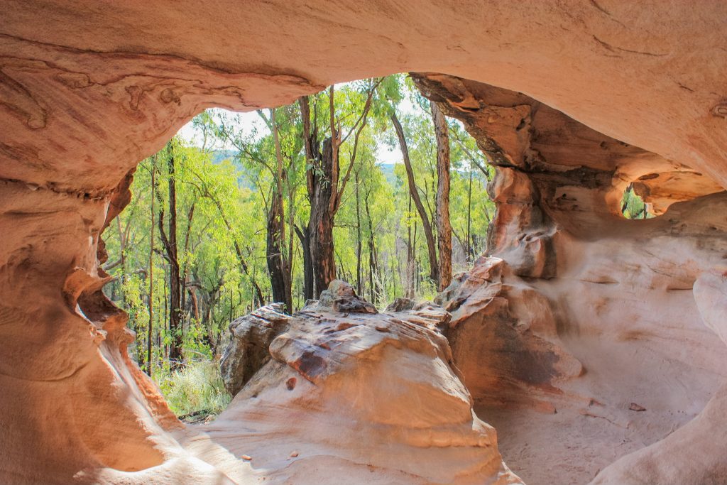 Exploring Gomeroi Culture in the Pilliga – PeeKdesigns