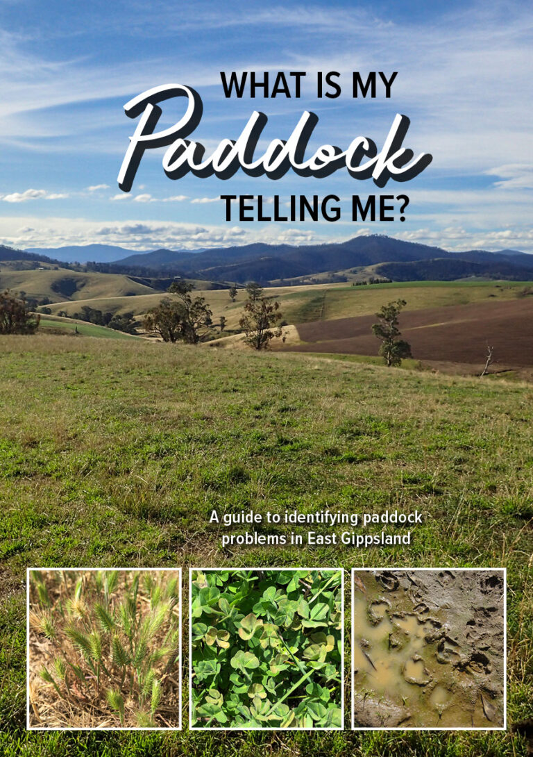 What is my paddock telling me? – PeeKdesigns